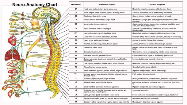 SERVICES | Saylor Chiropractic Care